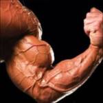 Home • Professional Muscle